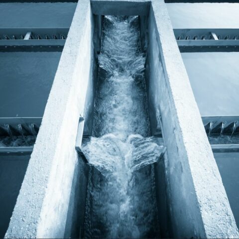 Chemical company - Cromogenia Units