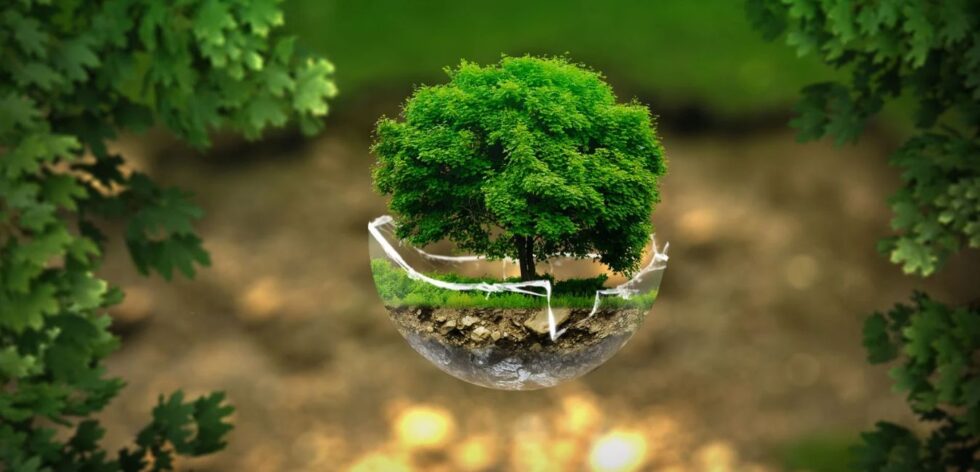 Nuevo ciclo de conferencias de Cromogenia - Cromogenia Units