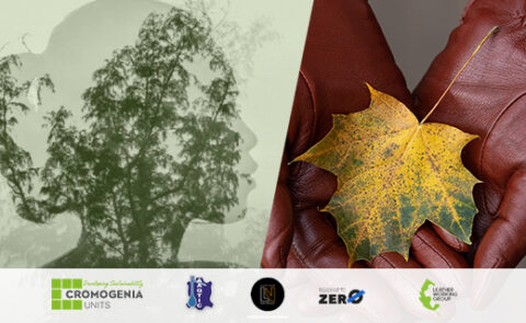 Empresa química - Cromogenia Units